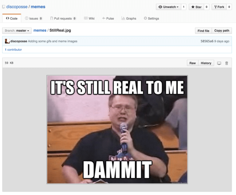 Downloading Files With Curl Including Text And Binary Objects 1017